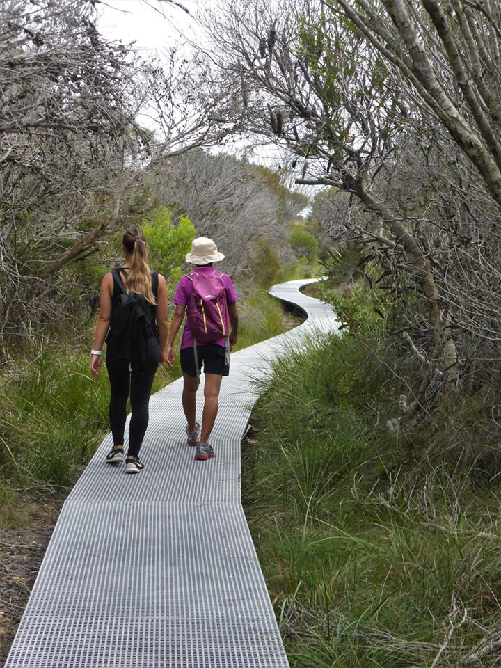 Activity Program – Sutherland Bushwalkers
